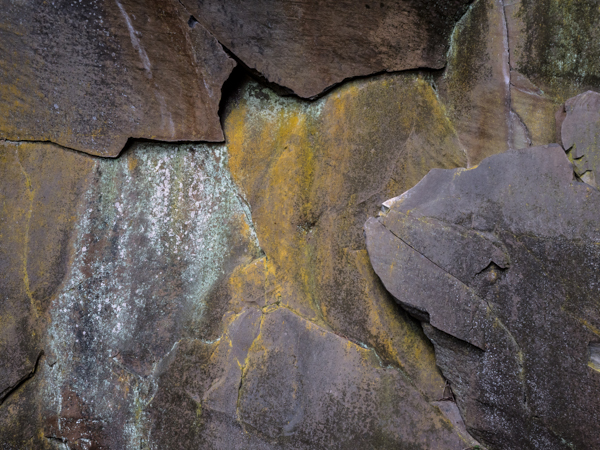 hochfeld_madrone_wall_1