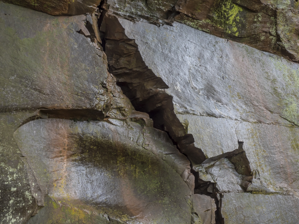 hochfeld_madrone_wall_1