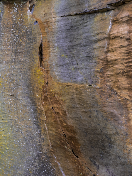 hochfeld_madrone_wall_1