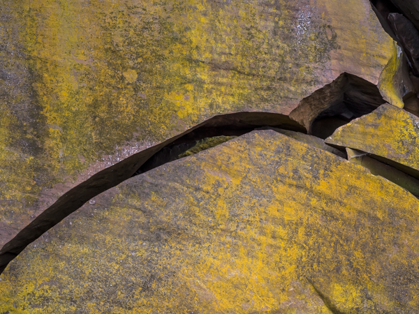 hochfeld_madrone_wall_1
