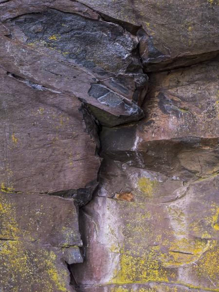 hochfeld_madrone_wall_1