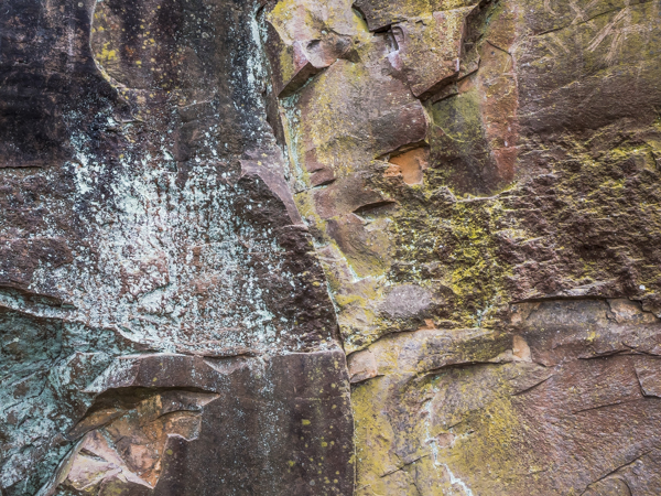 hochfeld_madrone_wall_1